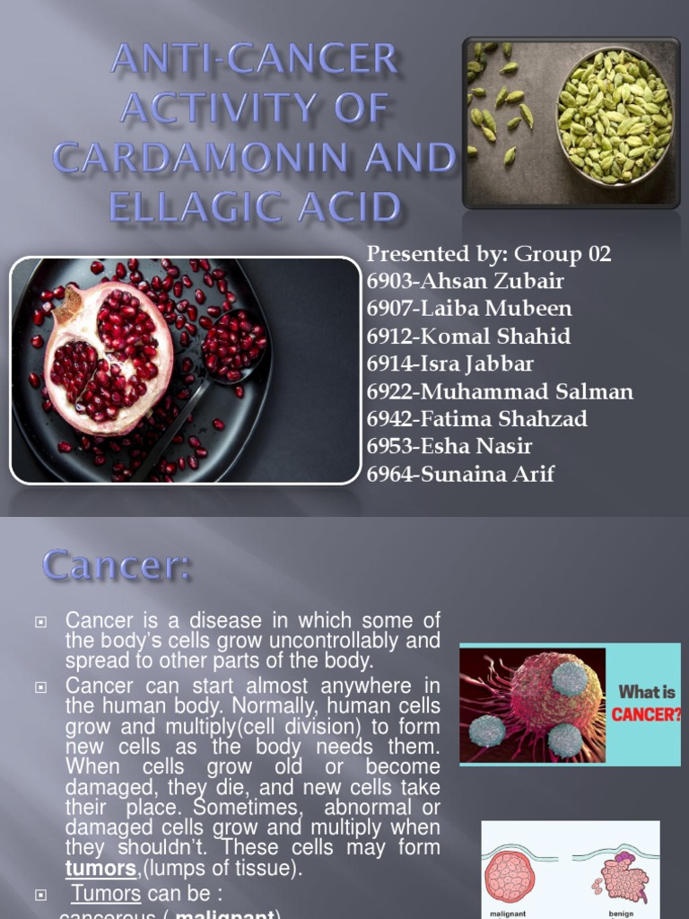 The Anticancer Properties and Mechanisms of Action of Cardamonin and ...