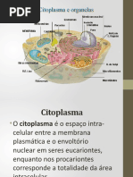 Mapas Mentais Sobre CITOLOGIA - Study Maps | PDF | Célula (Biologia) | Citoplasma