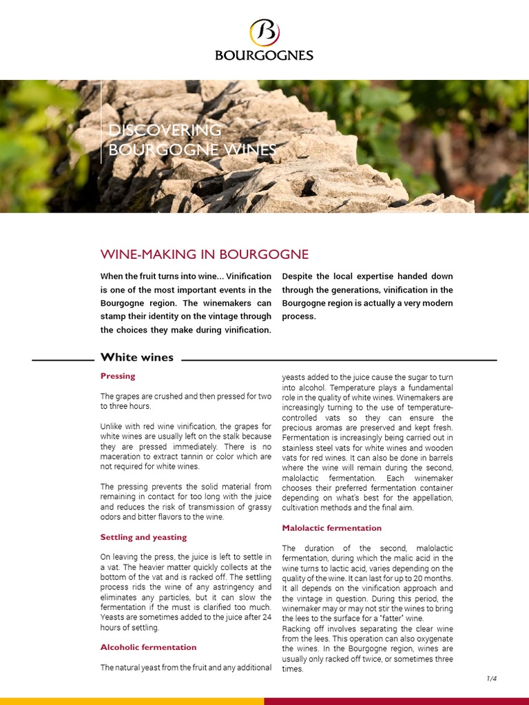 Wine-Making in Bourgogne | PDF | Winemaking | Fermentation In Winemaking