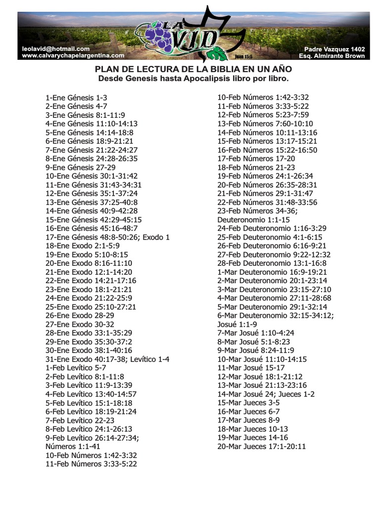 PLAN DE LECTURA DE LA BIBLIA EN UN AÑO Desde Genesis hasta Apocalipsis libro por libro. | PDF ...