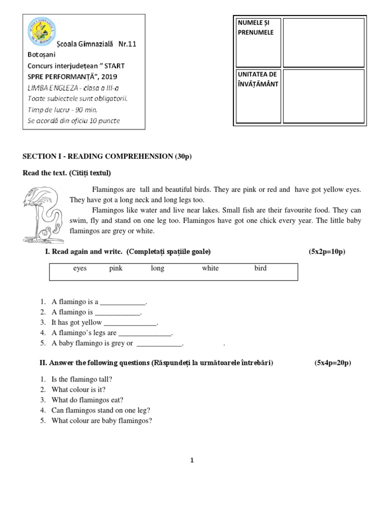 Flamingo reading comprehension | PDF