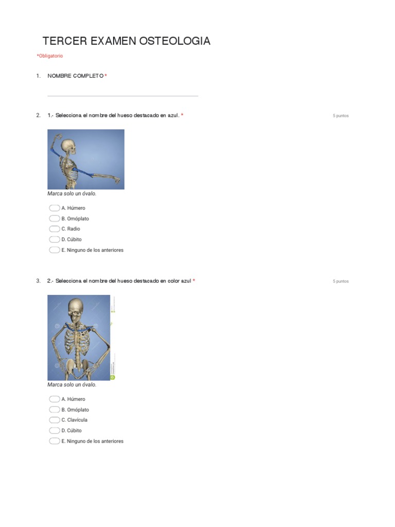 TERCER EXAMEN OSTEOLOGIA - Formularios de Google PDF | PDF | Hueso ...