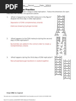 Virus Student Worksheet Answer Key | PDF | Virus | Adenoviridae