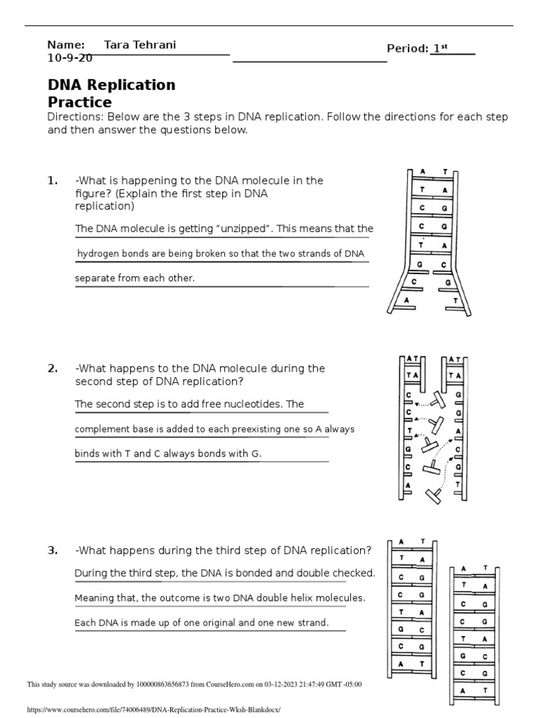 DNA Replication Practice WKSH Blank PDF | PDF | Dna | Dna Replication