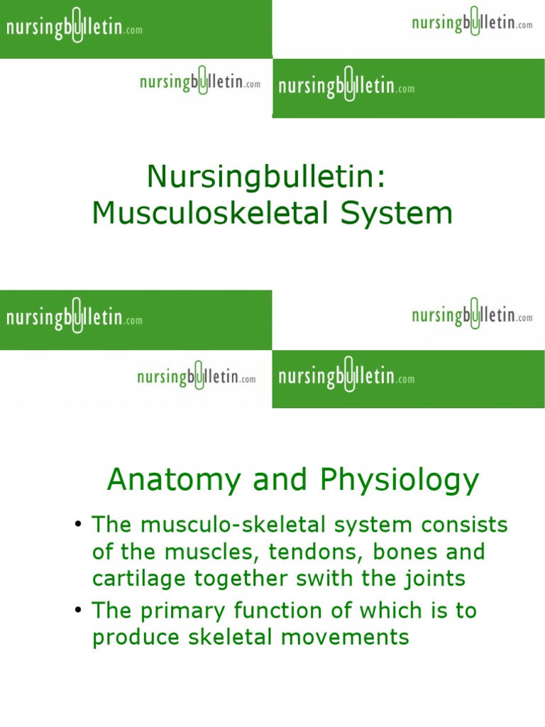 Musculoskeletal | PDF | Human Musculoskeletal System | Musculoskeletal ...