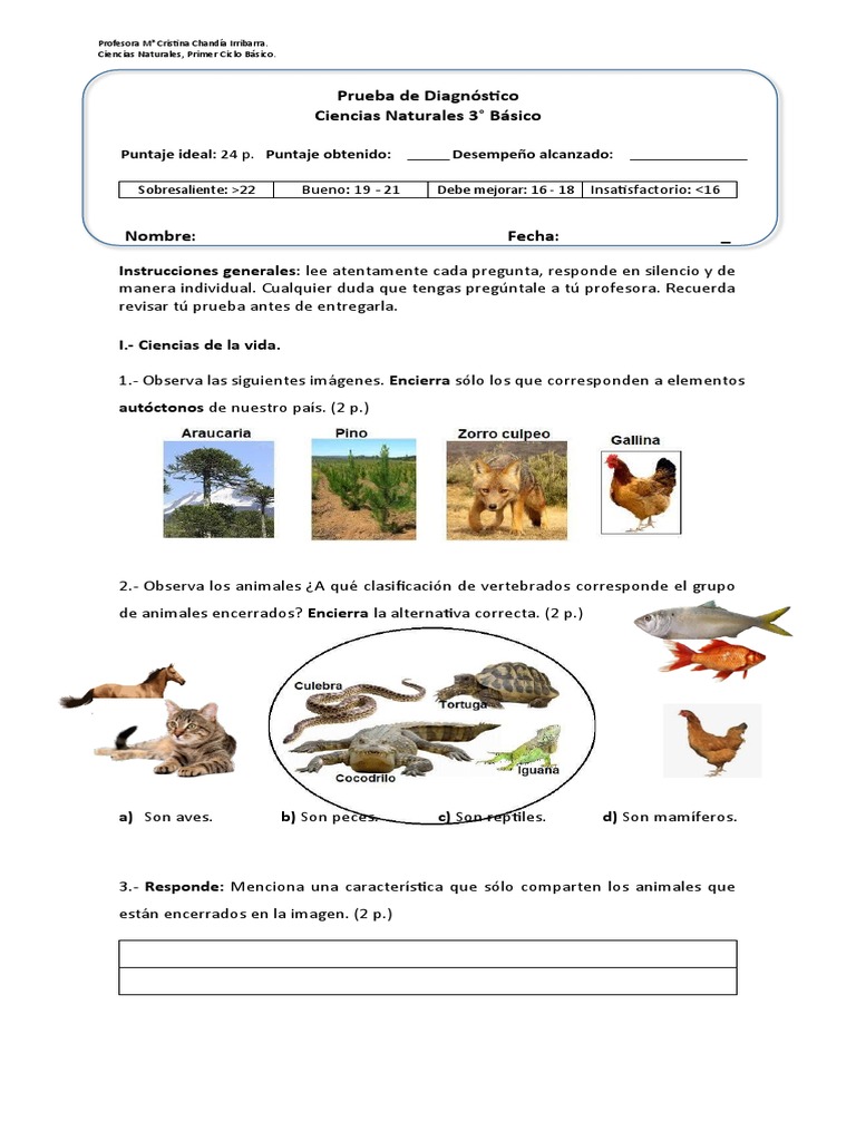 Prueba de Diagnostico Ciencias Naturales 3 0 | PDF | Agua