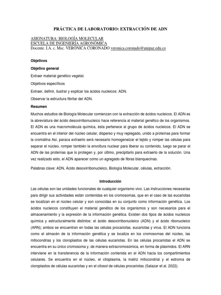 Laboratorio de Extracción de ADN | PDF | Nucleo celular | Adn