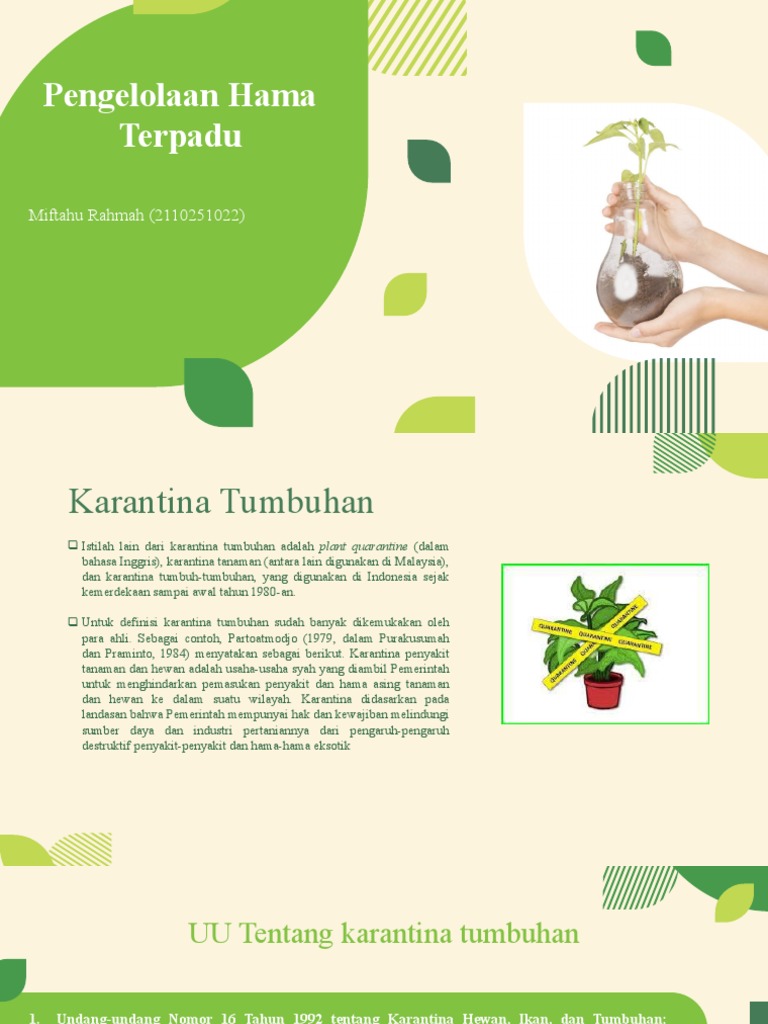 Miftahu Rahmah - 2110251022 Tugas 3 PHT | PDF