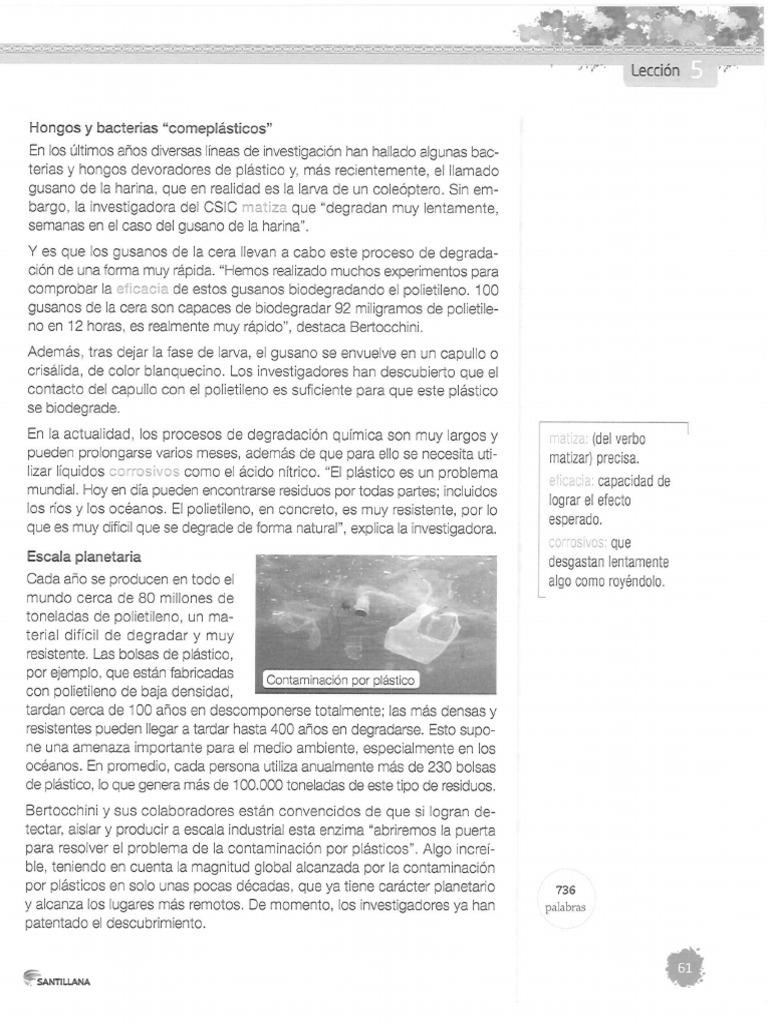 Lectópolis E 61 | PDF