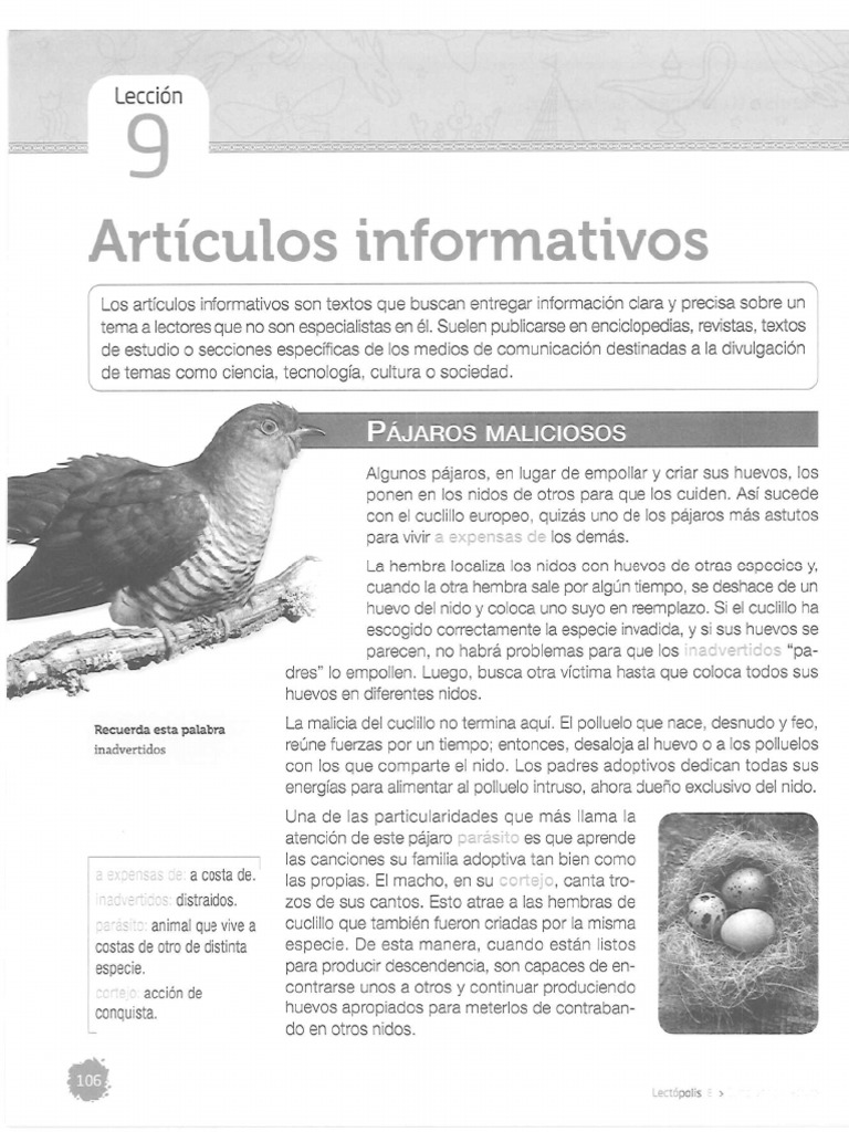Lectópolis E (1) - 106-112 | PDF
