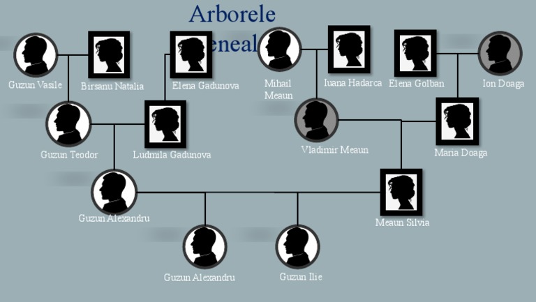Arbore Genealogic | PDF