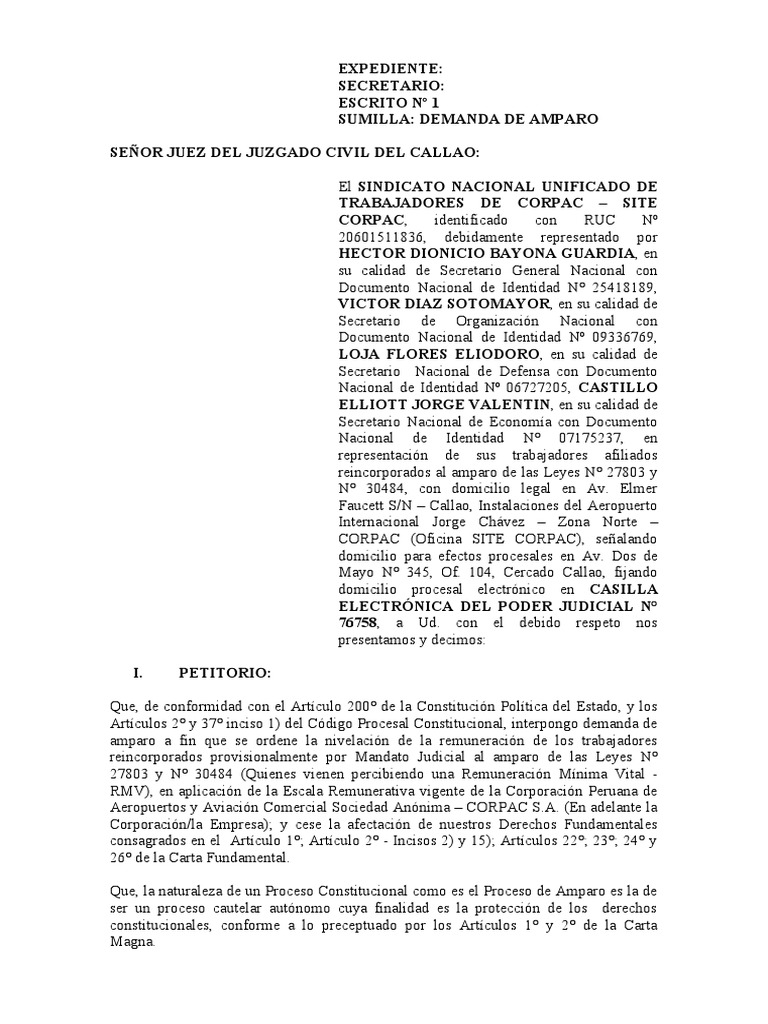 Accion de Amparo | PDF | Derecho Constitucional | Derecho laboral