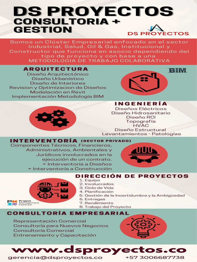 DS PROYECTOS - Infografía | PDF