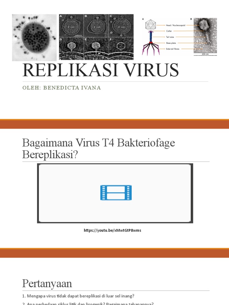 Reproduksi Virus Pdf