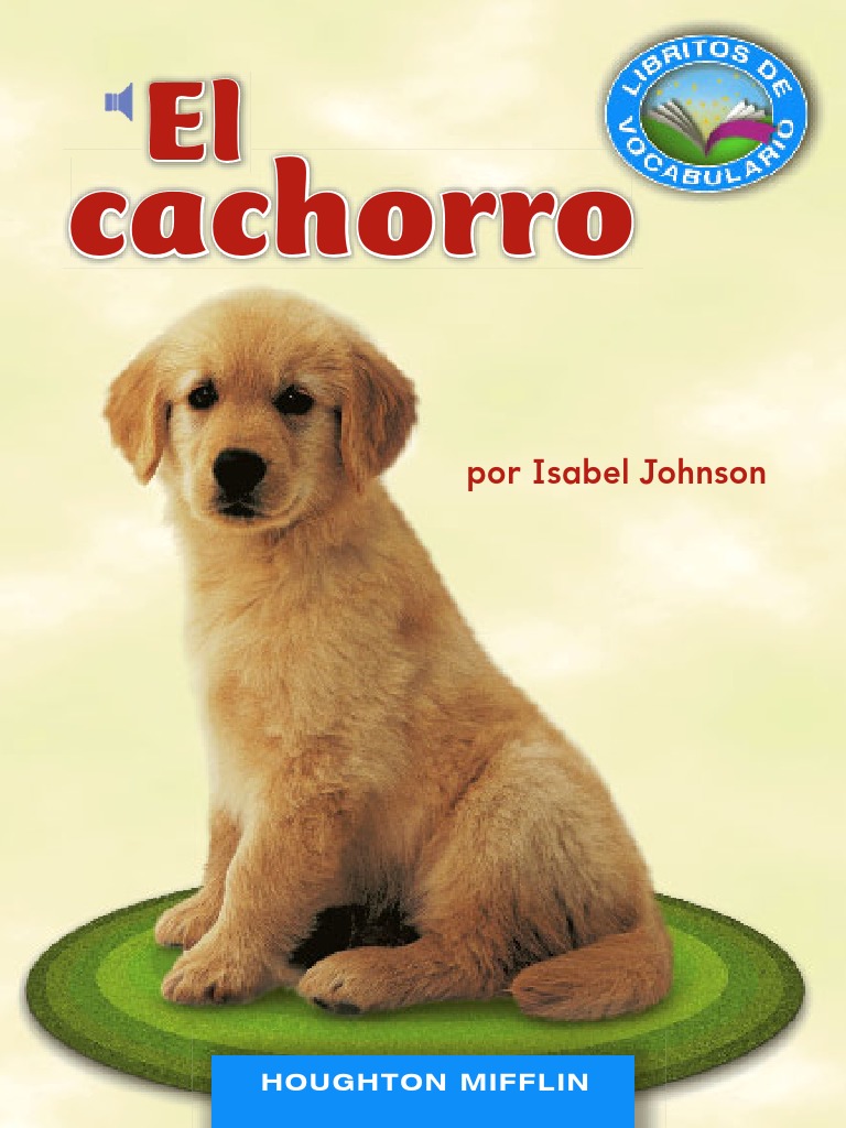 Leccion 3 El Cachorro | PDF | Medios de comunicación en masa | Ley de Propiedad Intelectual