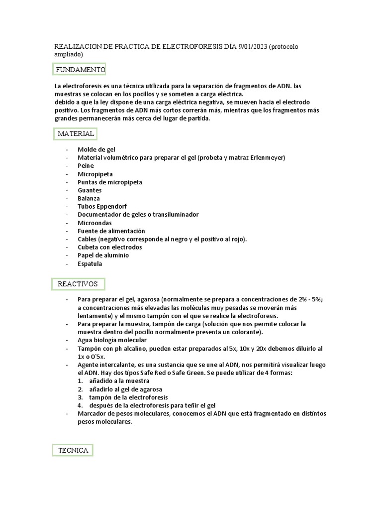 Practica de Electroforesis | PDF | Electroforesis | Química