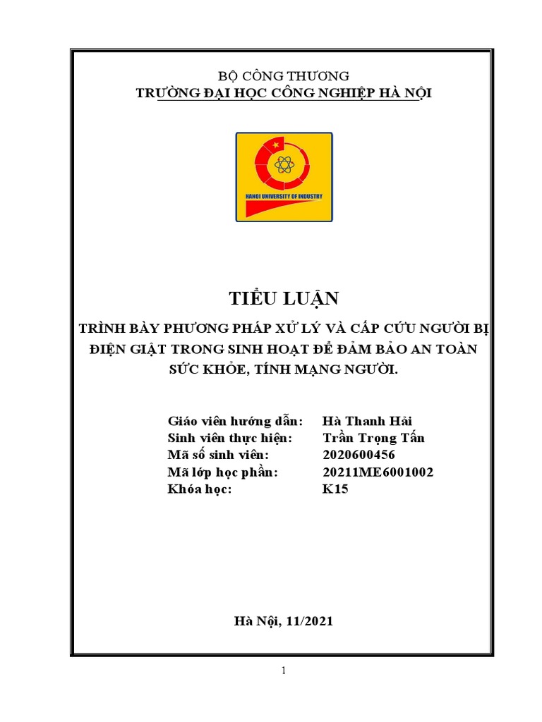 Tiểu luận An Toàn và MTCN | PDF