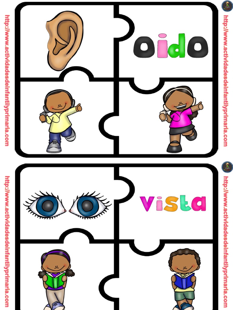 Puzzle para Conocer Los 5 Sentidos PDF | PDF