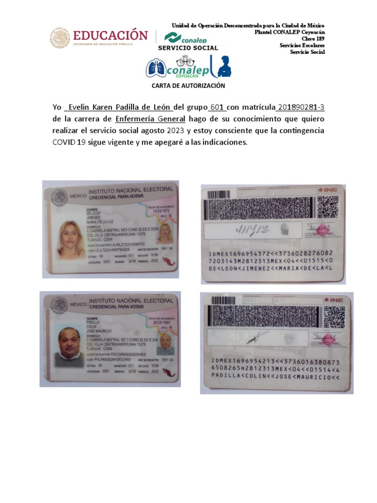 FORMATO FICHA IDENTIFICACION Ine | PDF