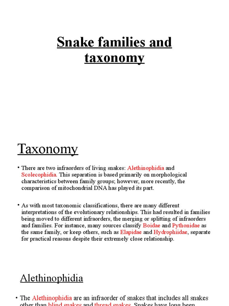 Snake Families and Taxonomy | PDF | Snake | Taxonomy (Biology)