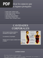 LOCALIZACI+ôN DE ESTRUCTURAS ANAT+ôMICAS. Cavidades Corporales. | PDF | Abdomen | Tórax