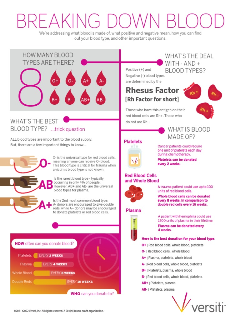 Breaking Down Blood | PDF | Blood Type | Blood Donation