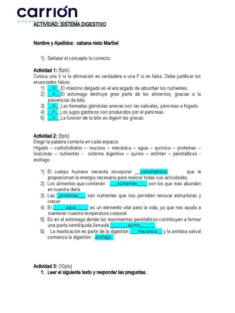 Actividades sobre el Sistema Digestivo | PDF | Digestión | Sistema ...
