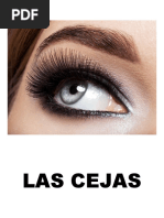 Tipos de Cejas - Trabajo Práctico | PDF | Ceja