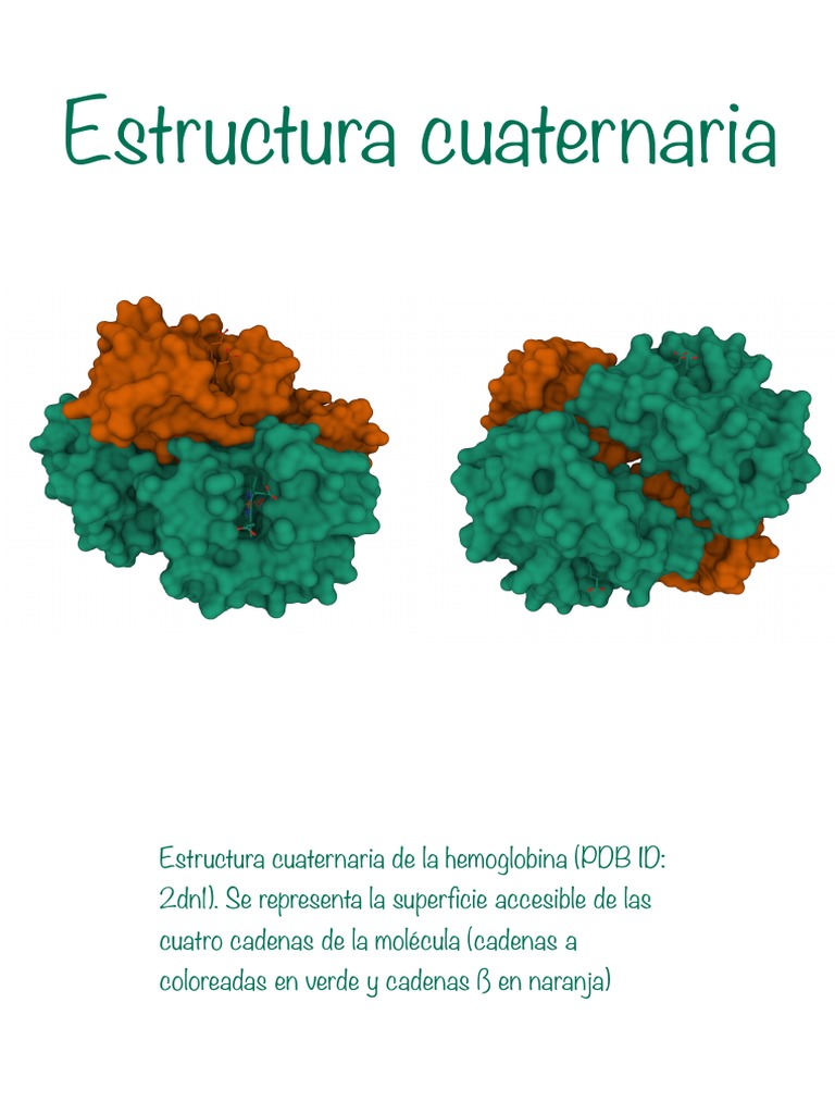 Estructura Cuaternaria | PDF