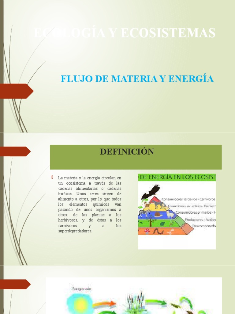Flujo de Materia y Energía | PDF | Red alimentaria | Biomasa (Ecología)