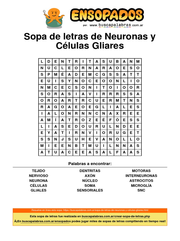 Sopa de Letras de Neuronas y Células Gliares | PDF | Células | Anatomía ...