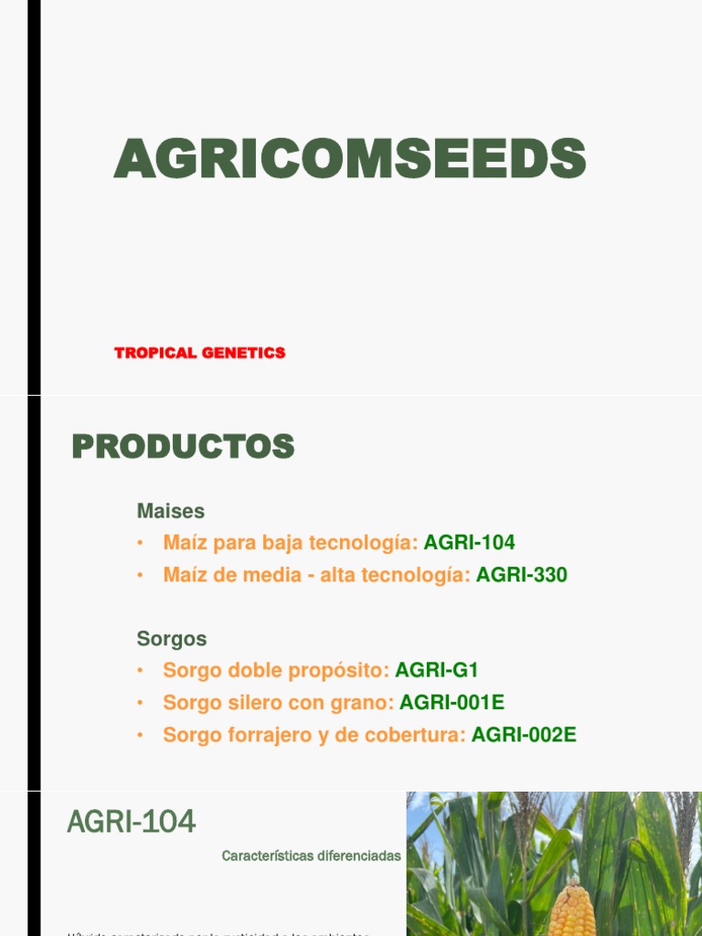 Productos Agricomseeds | PDF | Maíz | Agricultura