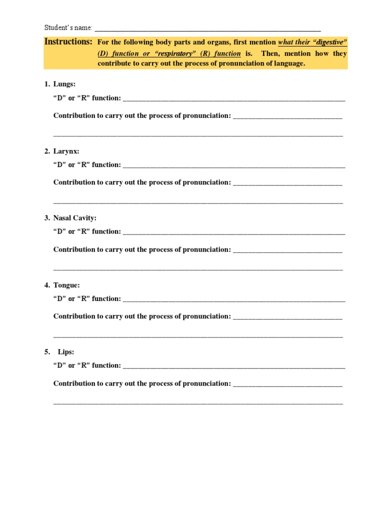 The Phonatory System - Exercise | PDF