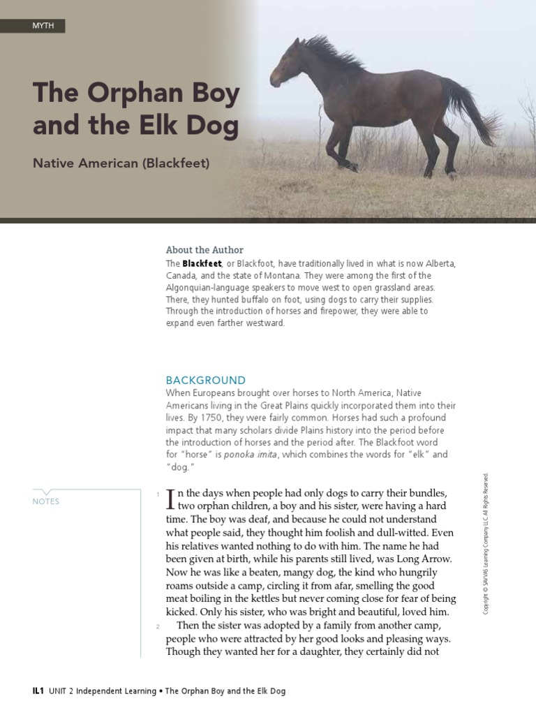 MYPNA SE G10 IL Orphan Boy Web | PDF | Blackfoot Confederacy