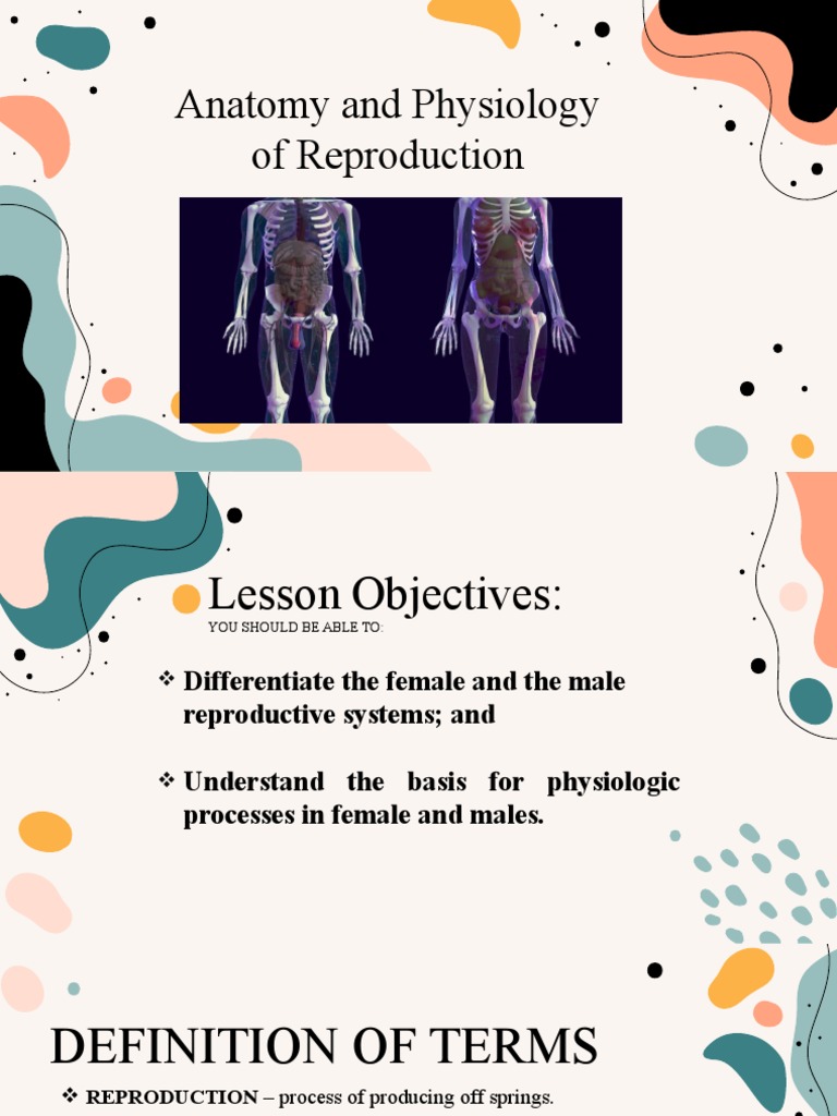 Reproductive Systems Overview | PDF | Clitoris | Prostate