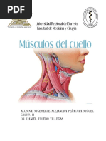 Términos de Relación, Comparación y Lateralidad de Anatomía | PDF ...