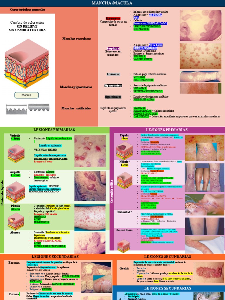 Pústulas: Lesiones Elementales Cutáneas | PDF | Piel | Causas de la muerte
