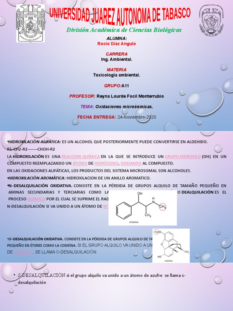 Hidroxilaciòn Alifàtica | PDF | Metabolismo | Nicotinamida adenina ...