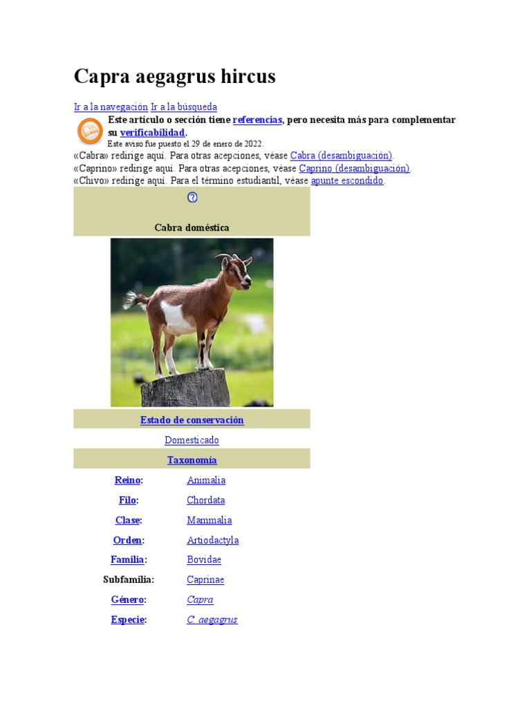 Investigación Sobre Cabras | PDF | Cabra