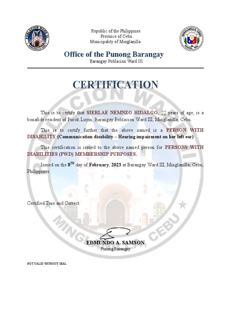 PWD - APPLICATION Certification 2023 - FORM | PDF