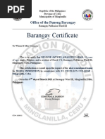 RSBSA Barangay Certificate | PDF