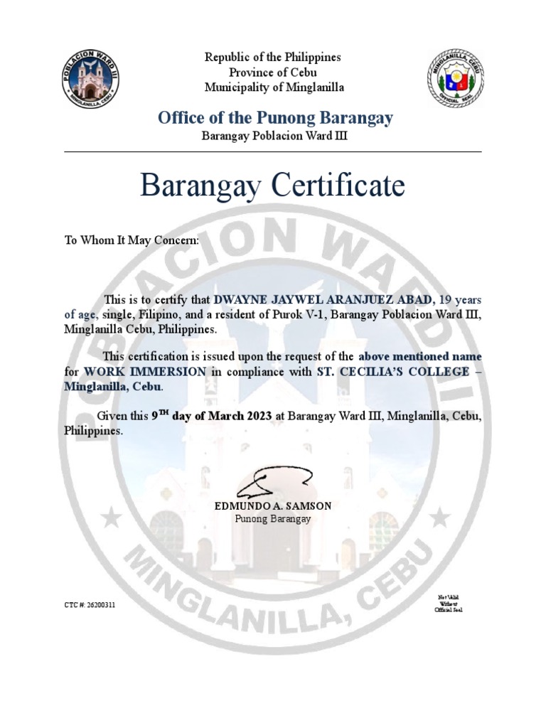 Work Immersion Certificate | PDF