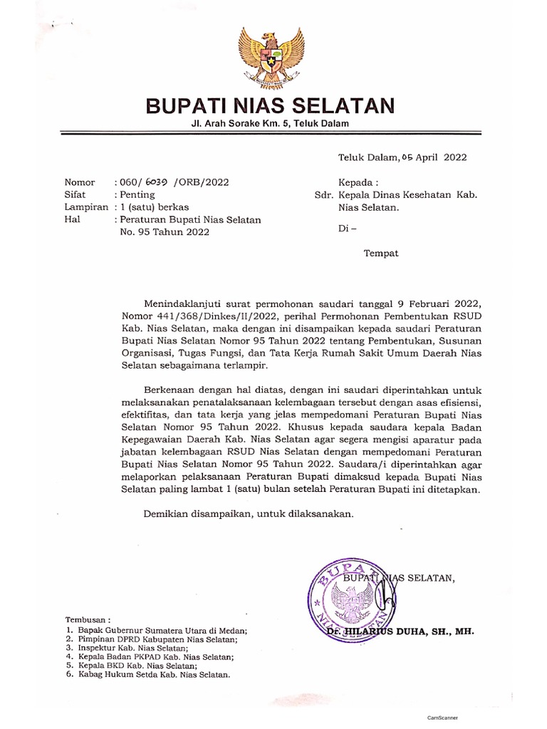 Perbup Nisel 95 TH 2022 TTG Rsud | PDF