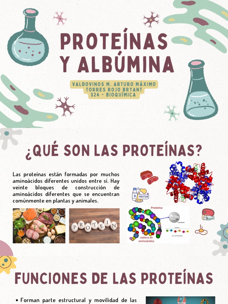 Proteínas y Albumina | PDF | Aminoácidos | Proteínas