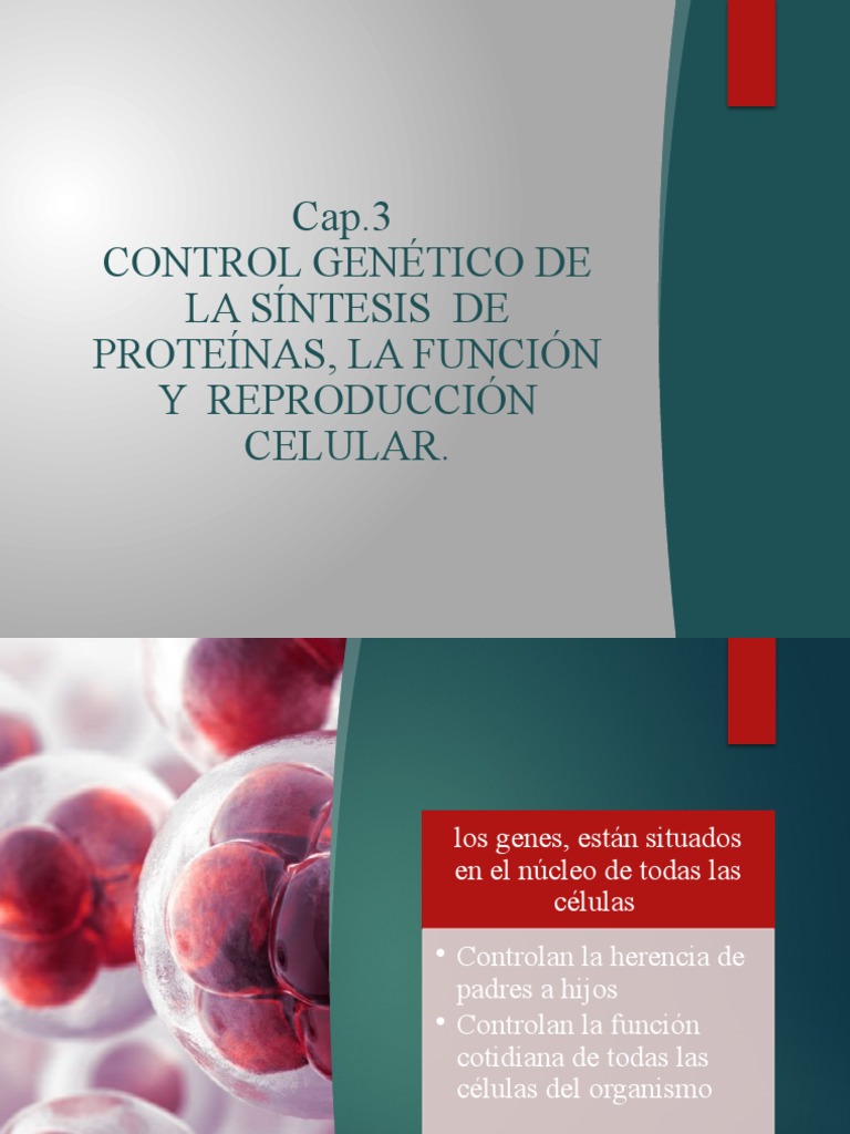 Cap. 3 Control Genetico | PDF | Rna | Adn