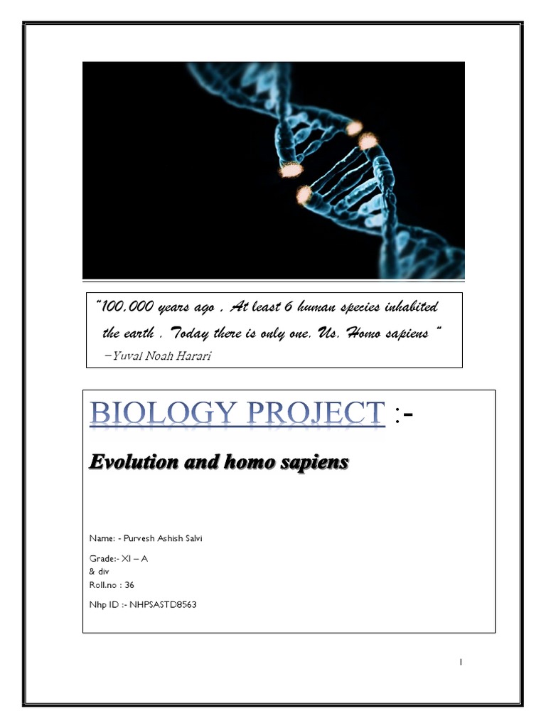 Evolution in Homo Sapiens | PDF | Human | Evolution