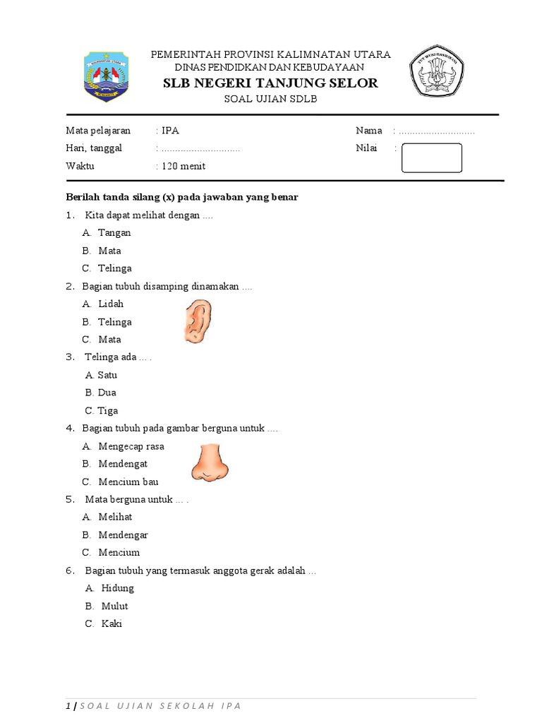 Soal Us Ipa SDLB | PDF