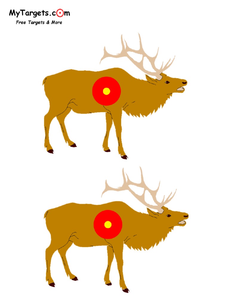 Target Elk x2 | PDF