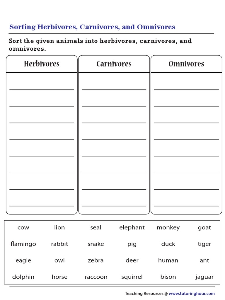 Animal Diet Classification Worksheet | PDF