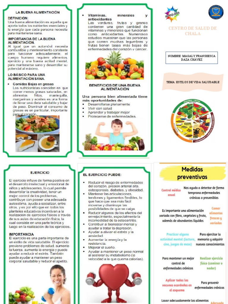 Trifoliado de Alimentacion Saludable en Adulto Mayor | PDF